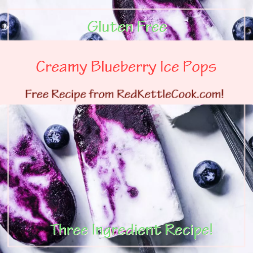 Creamy Blueberry Ice Pops – Red Kettle Cook